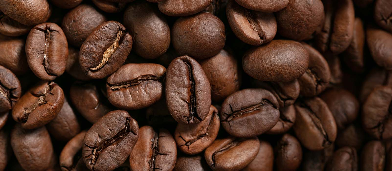 Costa Rican Coffee: Discover all you need to know