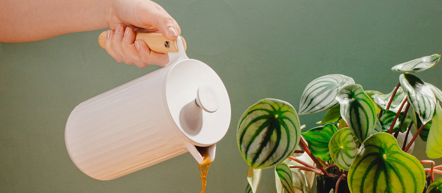 Cafetire : Our guide for the perfect cup