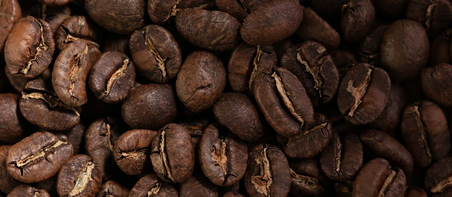 Discover Robusta: Your complete Guide to Robusta Coffee